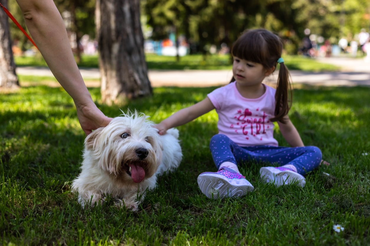 Dog Bite Prevention Tips for Children | Pushchak Law